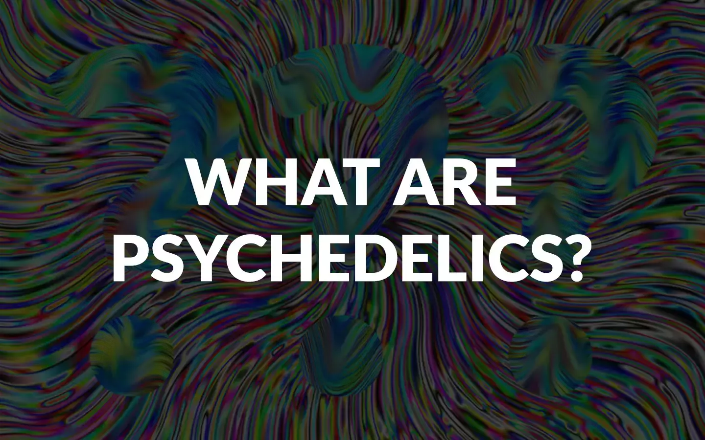 What Are Psychedelics? - Kitty & Molly